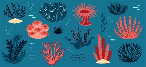 Underwater Ocean Plants List 7 Deep Sea Dwellers Who Hardly Look Like