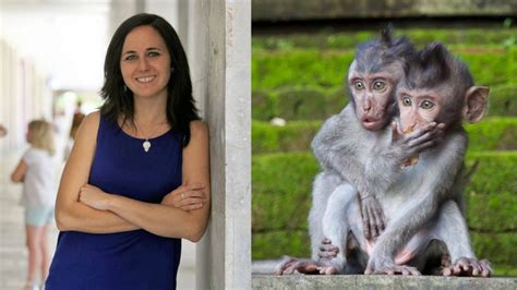 Spain Decriminalizes Sex Acts With Animals As Long As No Physical