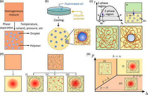Phase Separation‐induced Droplet Formation In Soft Materials A Download Scientific Diagram