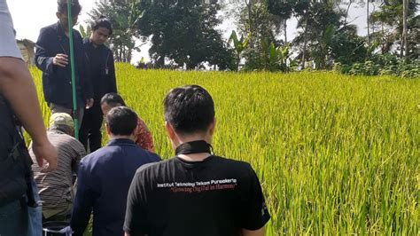 Dosen Di Purwokerto Ciptakan Alat Canggih Pengusir Hama Burung Emprit