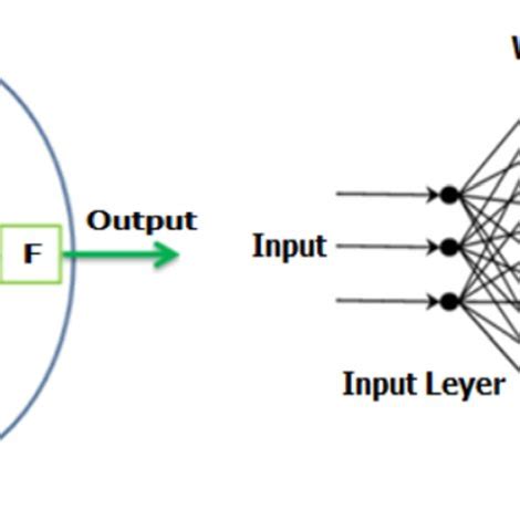 Scheme Of The Neurons And Three Layer Neural Network Structure Download Scientific Diagram