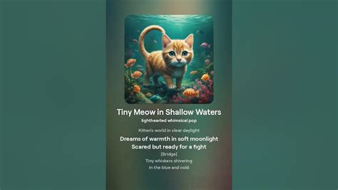 Tiny Meow In Shallow Waters Youtube
