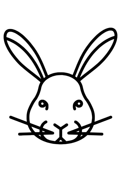 Голова кролика рисунок