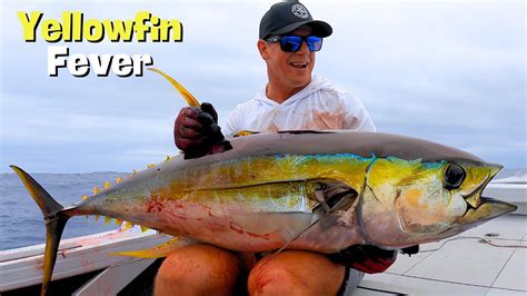 BEST BIG FISH SESSION EVER || Yellowfin Tuna Fever - YouTube