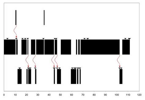 The Time Line For A Scientific Community Lab Metacognitive Statements Download Scientific