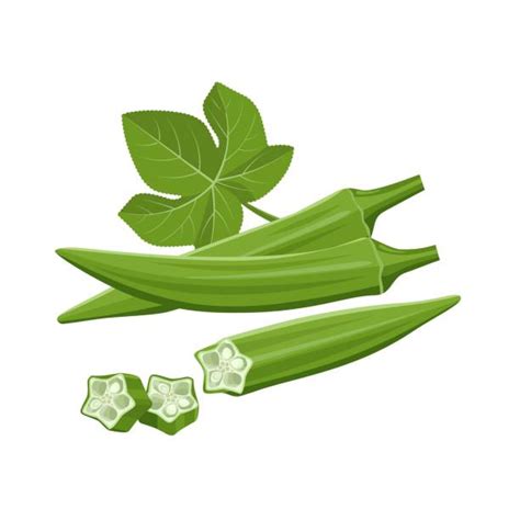 Clipart Okra
