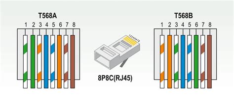Rj45 Wiring Diagram T568a And T568b Step By Step Ethernet Guide
