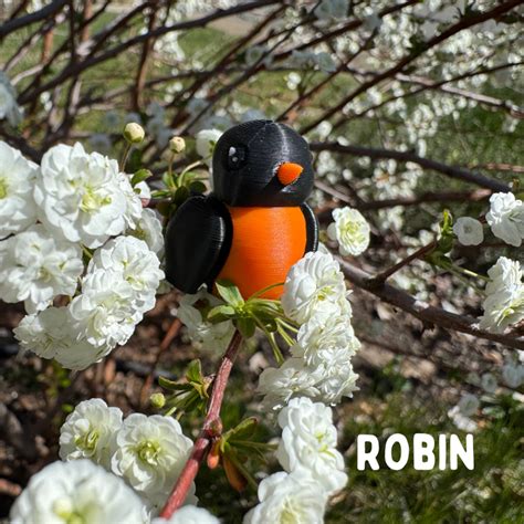 3d Printable Robin Mini Flexi By Colorcloud3d