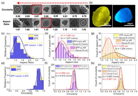 Micromachines Special Issue Biomaterials And Biodevices For Rapid Detection