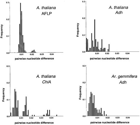 Frequency Distribution Of Pairwise Nucleotide Difference In A