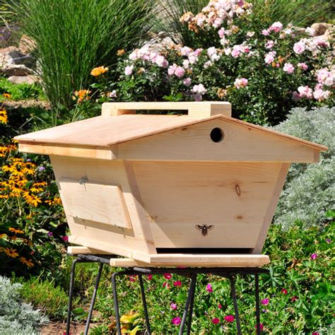 Honey Comb Identification Brood Nest Backyardhive