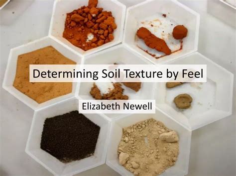 PPT Determining Soil Texture By Feel PowerPoint Presentation Free Download ID
