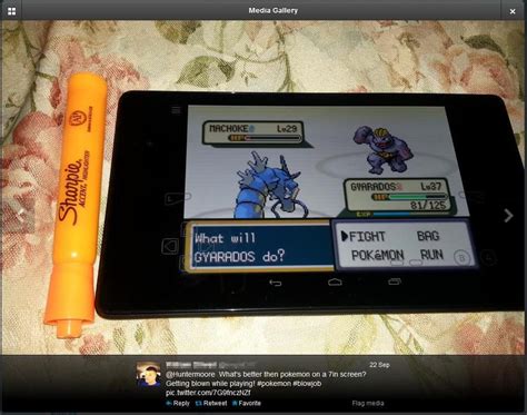 Man Gets Blowjob While Playing Pokemon On A 7 Inch Screen Can Confirm