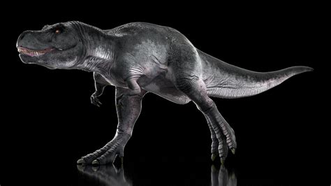 T Rex Running Animated Rigged 3d Model 3d Molier International