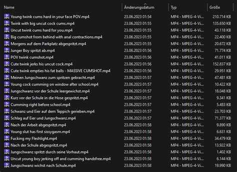 Uncomlpete XHamster Downloads W O Error Or LOG Issue 149 AAndyProgram SCrawler GitHub