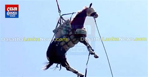 අහසින් ගිය අශ්වයා Dasatha Lanka News