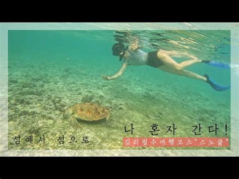 섬에서섬으로 나혼자발리간다 길리섬 스노쿨링 YouTube