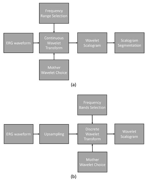 Illustrates The Processing Pipelines For Cwt And Dwt The Cwt