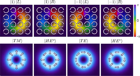 Figure 1 From On The Resilience Of Scalar And Vector Vortex Modes In