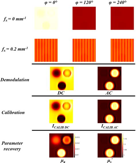 figure 10 from a pixel dependent finite element model for spatial