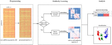 Figure 2 From Detection Of Cell Types From Single Cell Rna Seq Data
