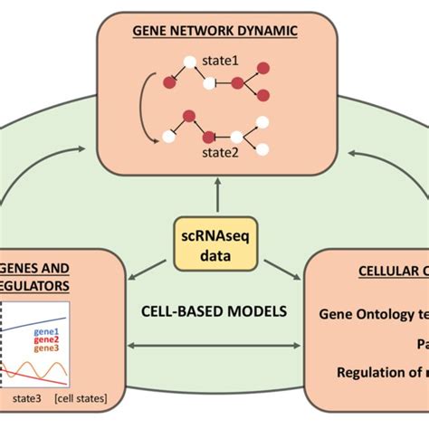 Relevant Information From Single Cell Transcriptomics Experiments For Download Scientific