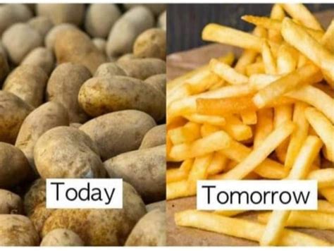 How Excel Can Transform Raw Data Into Actionable Insights Venkatraman