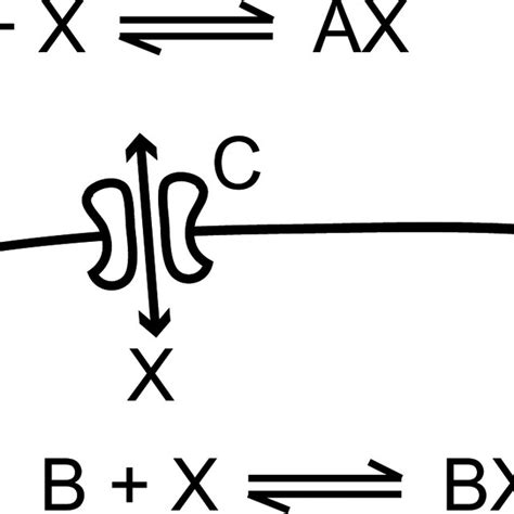 workflow for reaction diffusion modeling with four phases download