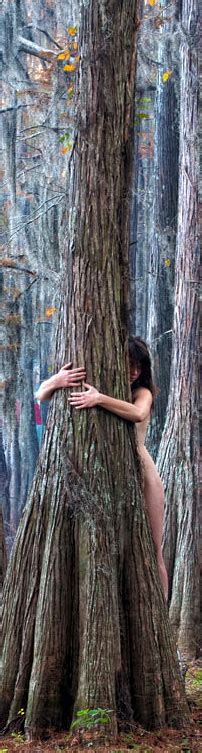 Store TreeSpirit Project Raising Awareness Of The Critical Role Of Trees In Our Lives