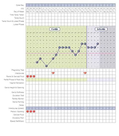 Whencanyougetpregnant Us Taking Charge Of Your Fertility Html Summary Of Taking