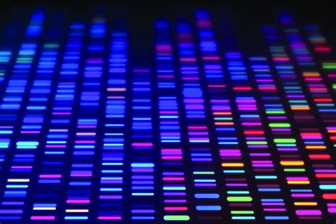 Sequencing Data Analysis Laboratory At Brenda Swindell Blog