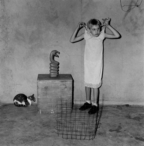 Roger Ballen Abandoned Flower Roger Ballen Black And White Staged