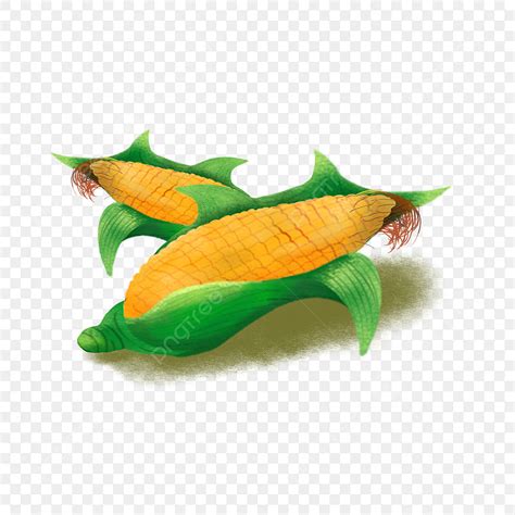 Material Grains Clipart Hd Png Corn Grain Material Design Element