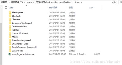 Kaggle实战：plant Seedlings Classification（植物幼苗分类）plant Seedlings