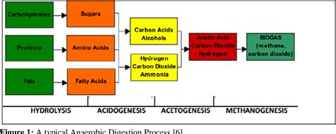 Chroococcus Minimus Semantic Scholar