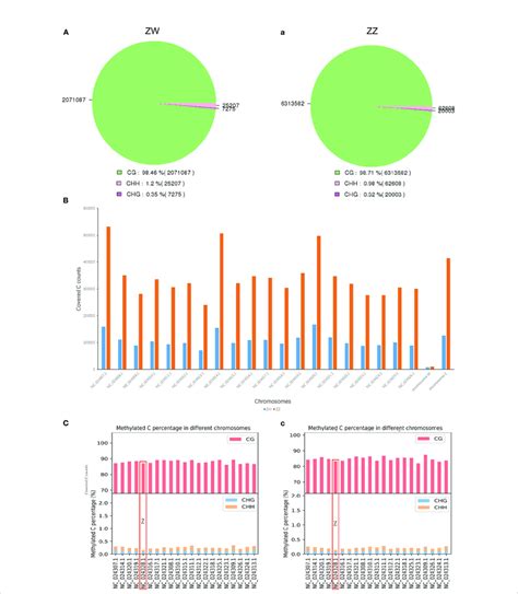 Genome Wide Dna Methylation And Methylated C Site Detection On