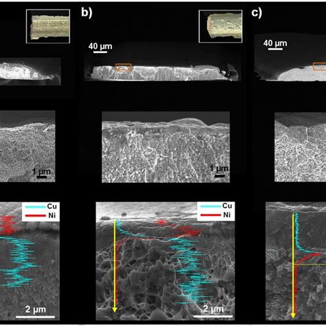 Optical Top View Inset And Sem Cross Section Micrographs Of Printed