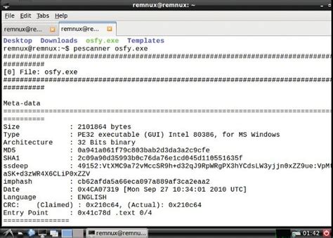Malware Analysis Using REMnux