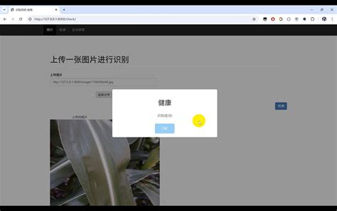 【玉米病害识别】python卷积神经网络算法人工智能深度学习计算机课设项目tensorflow模型训练 个人文章