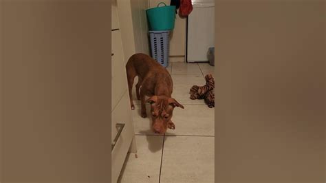 Smack Bottom Youtube