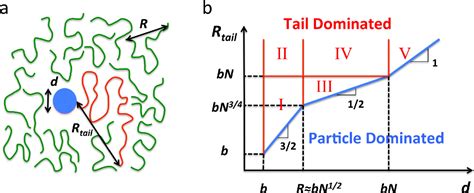 Figure 1 From Mobility Of Polymer Tethered Nanoparticles In Unentangled