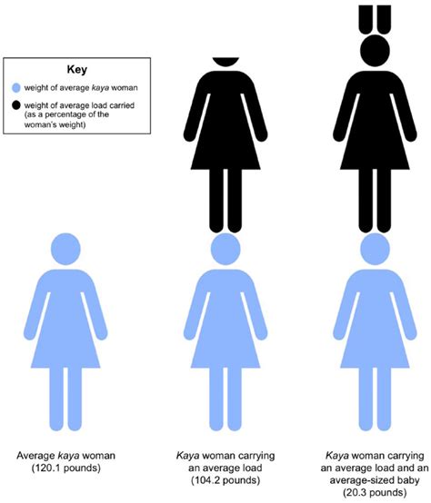 Load Size In Comparison To The Weight Of An Average Woman Working As A Download Scientific