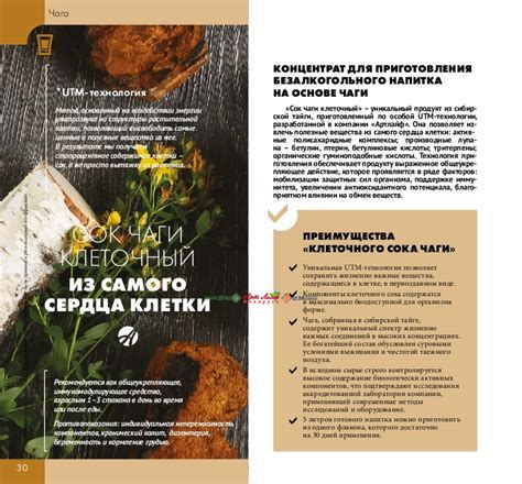 СОК ЧАГИ КЛЕТОЧНЫЙ С БОЯРЫШНИКОМ И СОКОМ БЕРЕЗОВОГО ЛИСТА - Артлайф