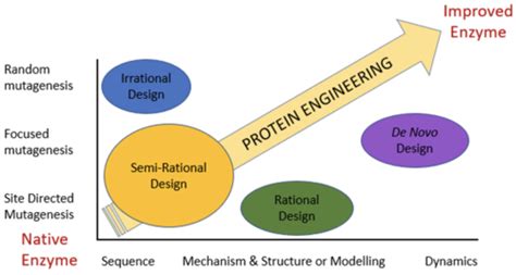 BIOL Lecture Flashcards Quizlet