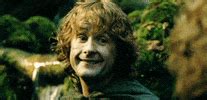 Lord Of The Rings S Find And Share On Giphy