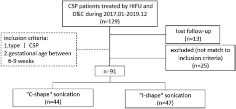 Flow Chart Of Different Hifu Sonication Strategies Of Csp Patients Download Scientific Diagram