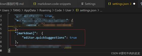 vscode下markdown添加行号（包含新建md代码块） vscode复制代码带行号 csdn博客