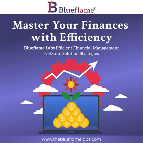 Blueflame Labs On Linkedin Blueflamelabs Netsuite Erp