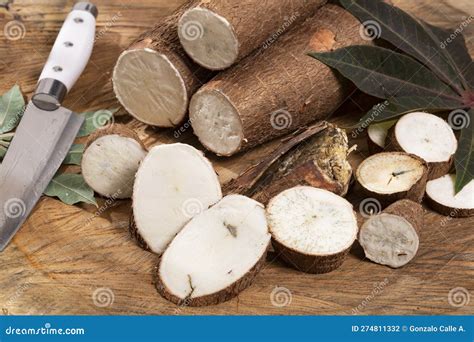 Fresh Organic Cassava Root Manioc Esculenta On Wooden Background