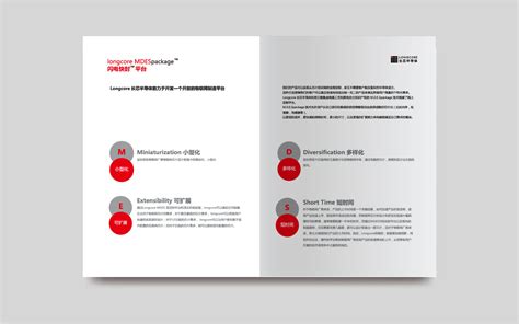 芯片画宣传册设计和半导体画册设计策划深圳vi设计公司 Logo设计 品牌设计 知名的平面设计和广告策划公司 主振品牌咨询设计公司